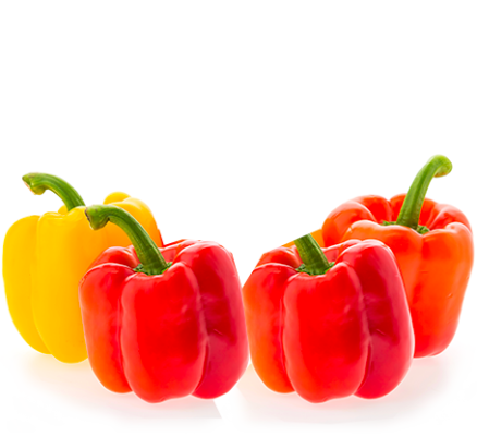 Chilli Jam | Hawkshead Relish